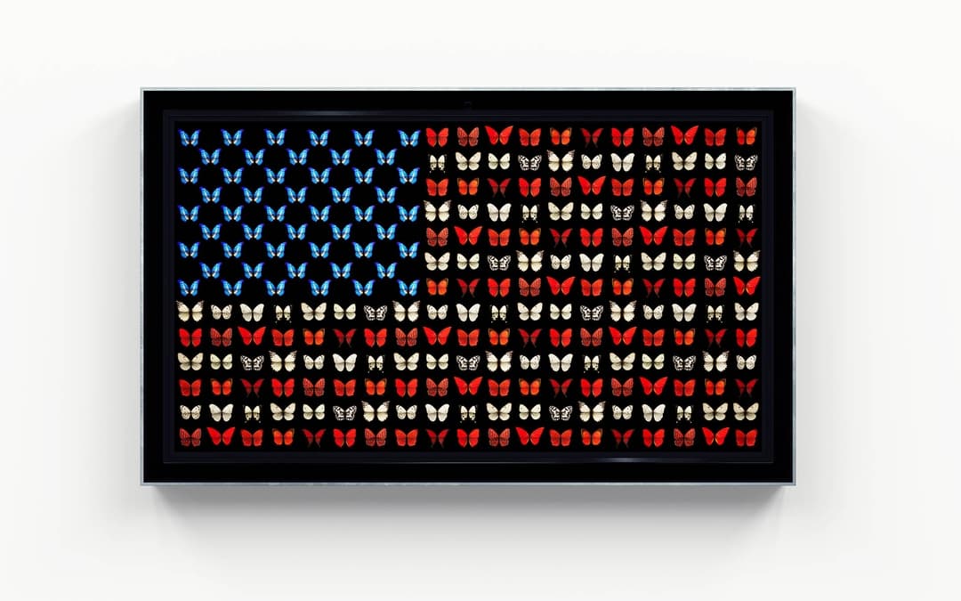 Dominic Harris, Official Artist Website